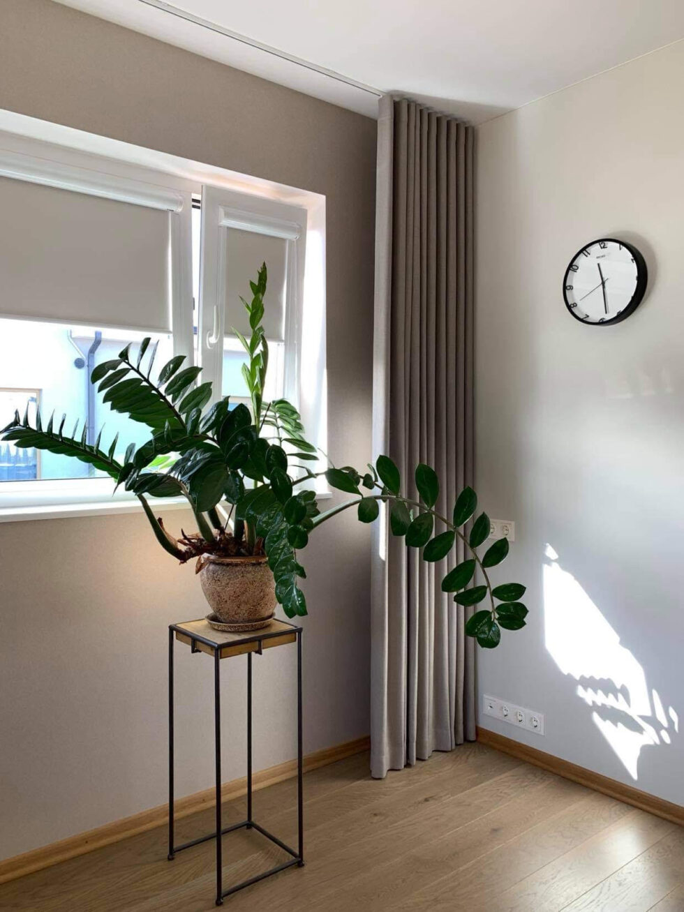 Kassettrulood - HARMTEX Kardinasalong